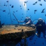 1-Day Discover Scuba Diving (no pool session / 2 dives) in Koh Chang - Why Consider the 1-Day Discover Scuba Experience?
