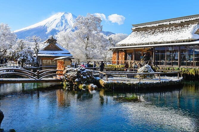 1 Day Private Tour Fuji FujiQ Kawaguchiko Pagoda - Authentic Experiences and Traveler Insights
