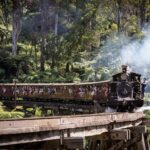 1 day Puffing Billy Steam Train and Wildlife Tour from Melbourne - An In-Depth Look at the Tour Experience