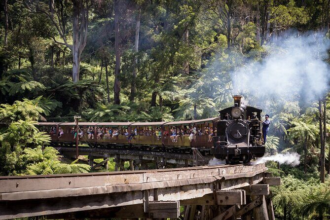 1 day Puffing Billy Steam Train and Wildlife Tour from Melbourne - An In-Depth Look at the Tour Experience