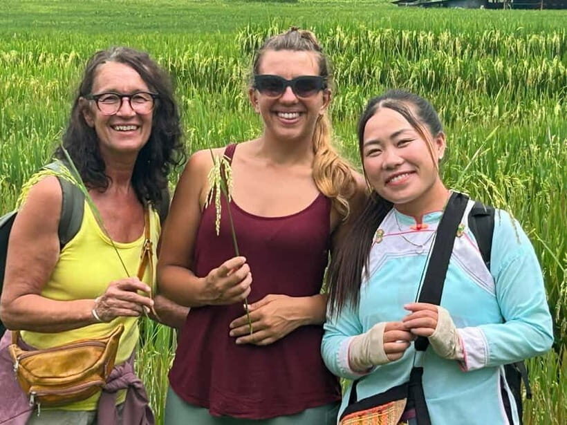 1 Day Sapa Trek: Y Linh Ho  Lao Chai 1 Village  Ta Van Day - Practical Details and What Challenges to Expect