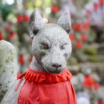1-Day Tour from Nagoya: Korankei Gorge & Inari Fox Shrines - Value and Practicality
