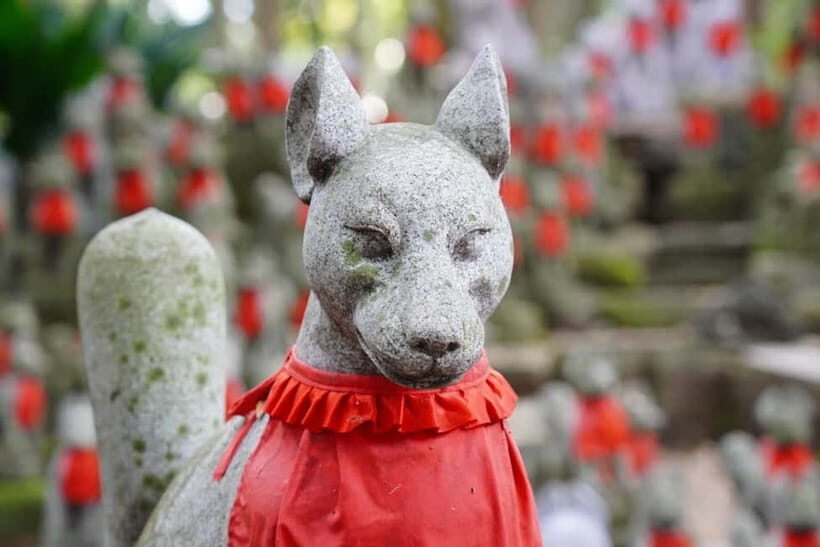 1-Day Tour from Nagoya: Korankei Gorge & Inari Fox Shrines - Value and Practicality