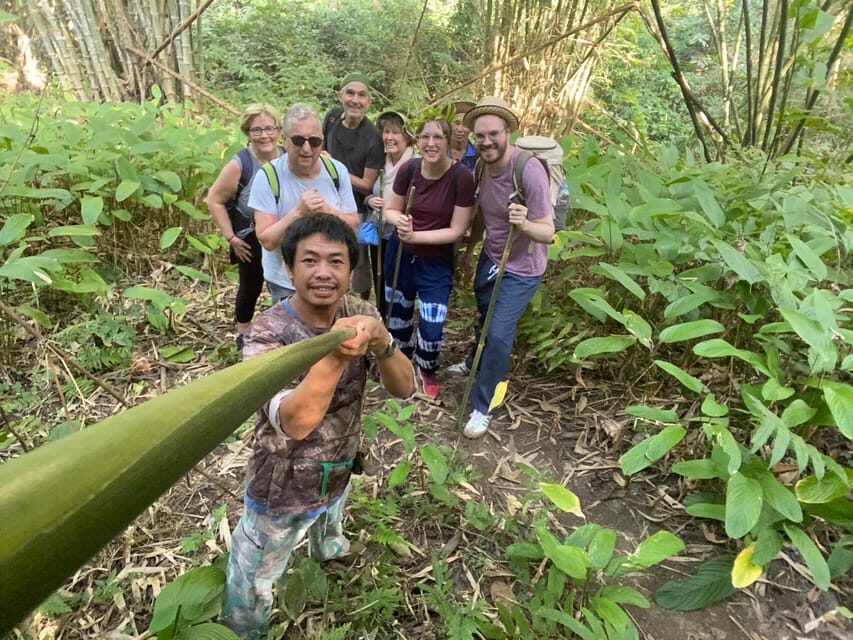 1 Day trekking : Chiang Rai popular activity,Fun in Nature. - Hot Spring and Forest Walk