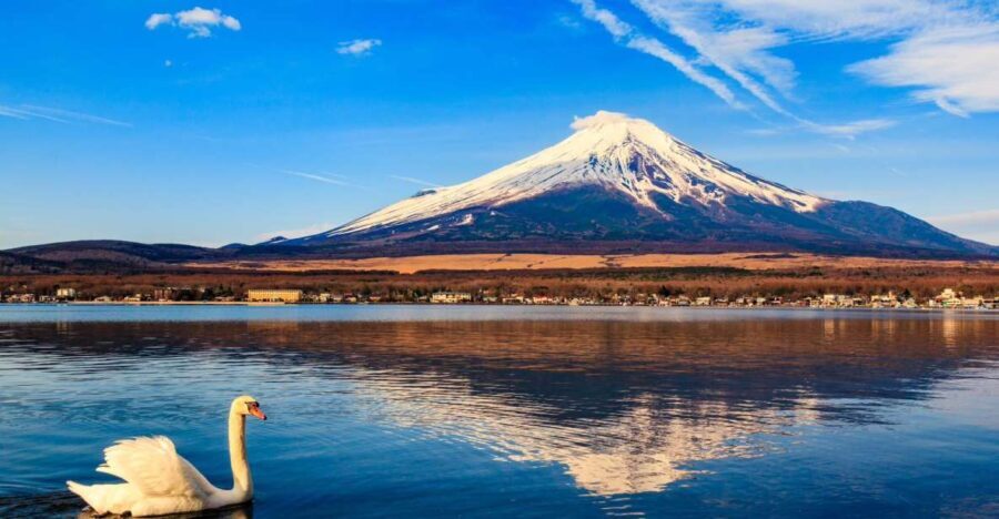 1-Day trip: Mt Fuji + Kawaguchi Lake area - Transportation and Schedule