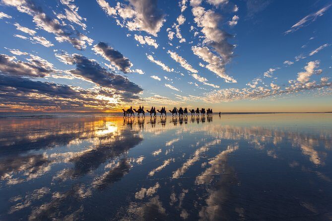 1 Hour Broome Sunset Camel Tour - What Travelers Are Saying
