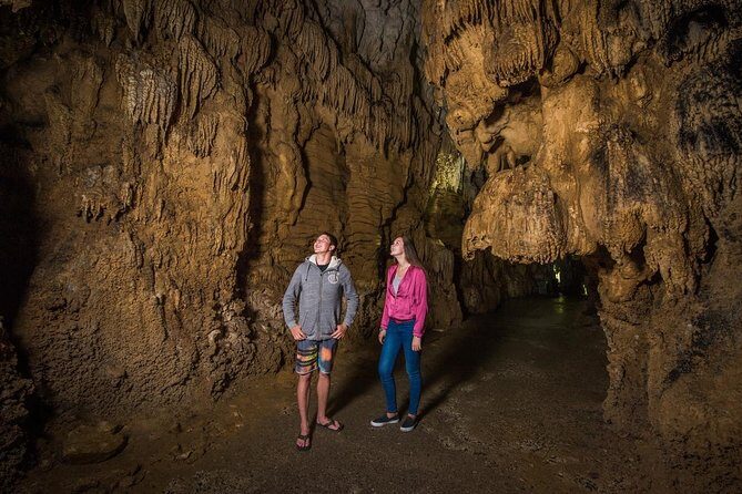 1-Hour Guided Tour of Aranui Cave Waitomo - Practical Tips for Visitors