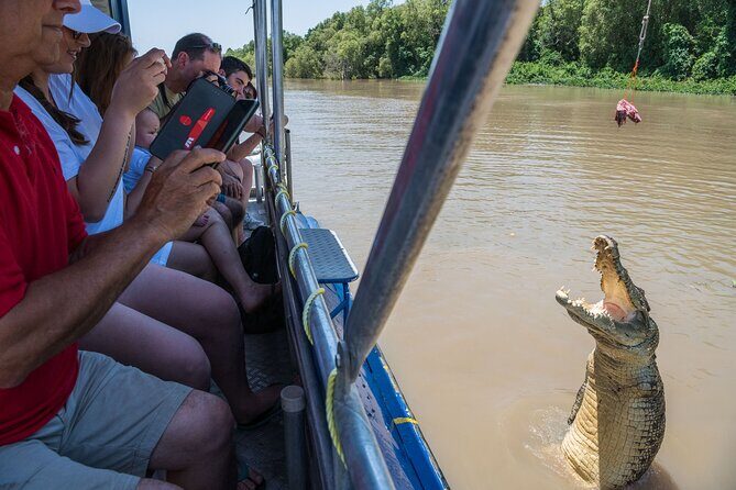 1 Hour Jumping Crocodile Cruise on the Adelaide River - Authentic Experiences and Genuine Insights from Travelers