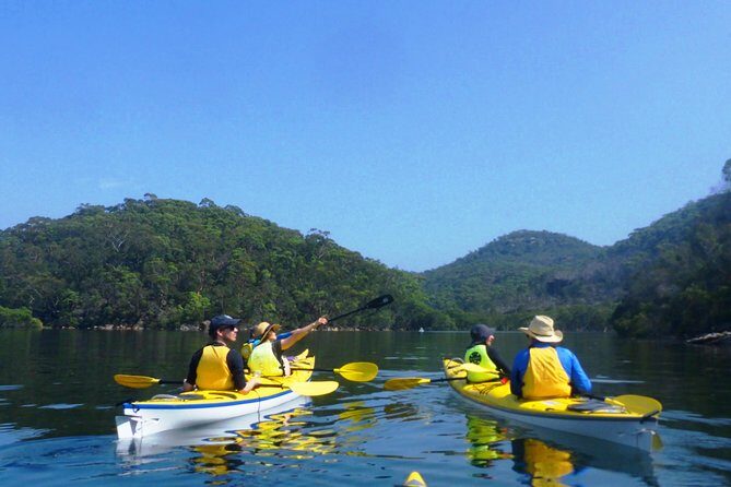 1 Hour Rental Deluxe Double Sea Kayak - What to Expect from Your Kayaking Adventure