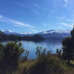1-Hour Ruby Island Cruise and Walk from Wanaka - The Experience for Different Travelers