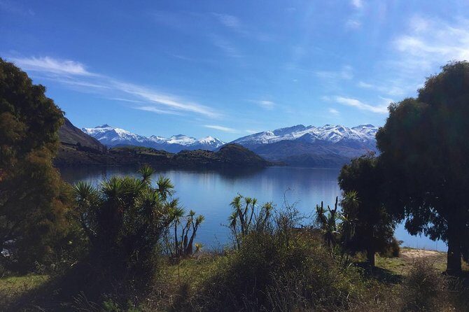 1-Hour Ruby Island Cruise and Walk from Wanaka - The Experience for Different Travelers