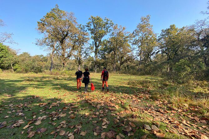 1 Night 2 Days Chitwan Jungle Safari Tour from Pokhara or Kathmandu - The Itinerary: What to Expect
