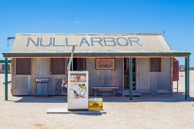 10-Day Adelaide to Perth Adventure Tour - Day 3: Marine Wildlife & Surfing in Streaky Bay