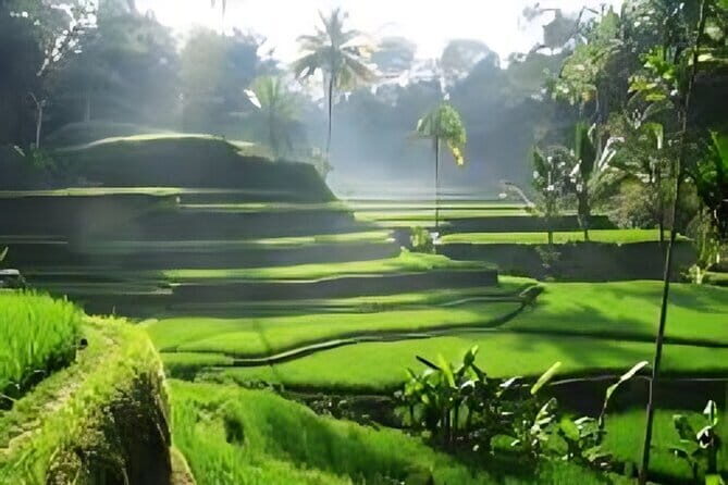 10 Days The Best of Bali Gilis and Nusa Penida Island Experience - Practical Insights and What Travelers Can Expect