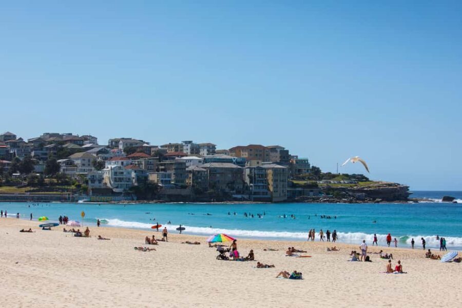 11:30AM Sydney Airport-Hotel transfer with Bondi Tour - Insights from Reviews and What Travelers Say