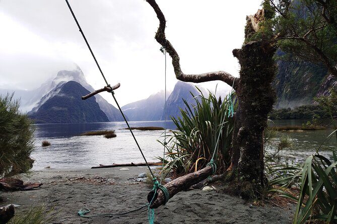 12 Day New Zealand Private Tour from Auckland to Stewart Island - Scenic Rail Journeys: From Rotorua to Wellington