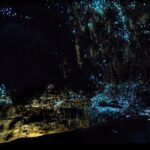 12-Hour LOTR Trollshaws & Waitomo Glowworm Tour - What’s Included and What’s Not