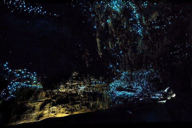 12-Hour LOTR Trollshaws & Waitomo Glowworm Tour - What’s Included and What’s Not