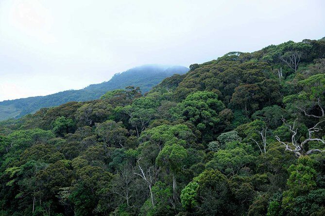 12 Nights Wild Life & Nature Tour - The Sum Up