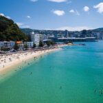 15-Minute Wellington Harbour Helicopter Flight - What to Expect from the Wellington Harbour Helicopter Flight