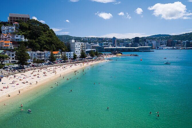 15-Minute Wellington Harbour Helicopter Flight - What to Expect from the Wellington Harbour Helicopter Flight