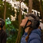 2.5 Hour Brisbane: Sightseeing Tours - Morning & Night - Practical Tips for a Smooth Ride