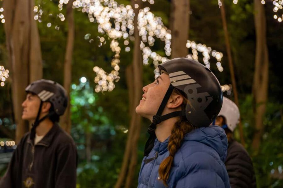 2.5 Hour Brisbane: Sightseeing Tours - Morning & Night - Practical Tips for a Smooth Ride
