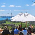 2.5 Hours Wine Tour in Waiheke Island for Cruise Ship Travelers - Real Traveler Insights