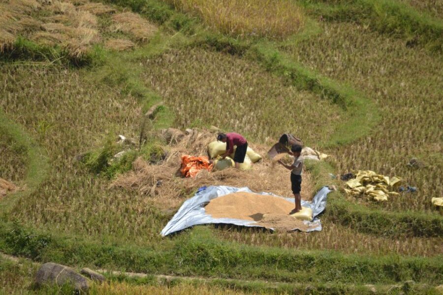 2 Day-2 Night Sapa Trekking: Overnight Train &Limousine Bus - Day 1: From Hanoi to Sapa via Lao Cai