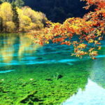 2 Day Chengdu to Jiuzhaigou&Huanglong Self-Guided w/Transfer - What Makes This Tour Stand Out?