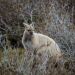 2 day Cradle Mountain and Wineglass Bay - Frequently Asked Questions