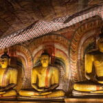 2-Day Cultural & Wildlife Tour to Sigiriya & Minneriya - Wildlife Adventure at Minneriya National Park