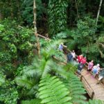 2 Day Daintree Rainforest and Chillagoe Outback Tour - What Makes This Tour Stand Out
