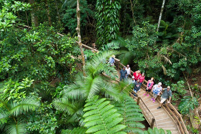 2 Day Daintree Rainforest and Chillagoe Outback Tour - What Makes This Tour Stand Out