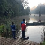 2 Day Great Ocean Road Tour and Platypus paddle - Why This Tour Might Be a Great Choice