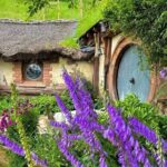2 Day Hobbiton Waitomo Caves Raglan Private Tour from Hamilton - What Makes This Tour Stand Out?