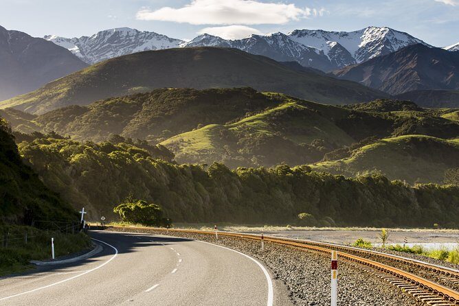 2 Day Kaikoura Whale and Dolphin Tour from Christchurch - Who Will Love This Tour