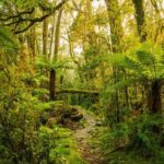 2-day Private Overnight Hurunui River Hot Springs Hike or Bike - Practical Details and What to Expect