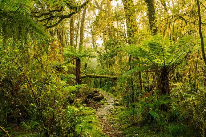 2-day Private Overnight Hurunui River Hot Springs Hike or Bike - Practical Details and What to Expect