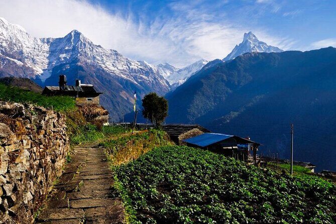 2 Day Private Panchase Trek Tour from Pokhara - A Detailed Look at the Panchase Trek