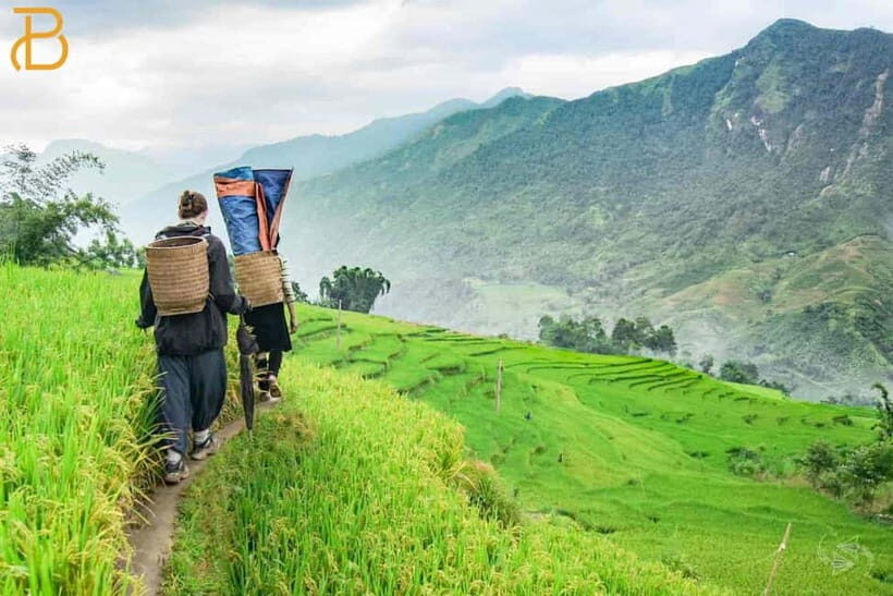 2-Day Sapa Trekking Adventure from Hanoi, Overnight Bungalow - Transportation and Accommodation