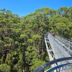 2 Day Tour Busselton Jetty, Ngilgi Cave to Valley of the Giants - Day 2: Towering Trees and Dramatic Coastlines