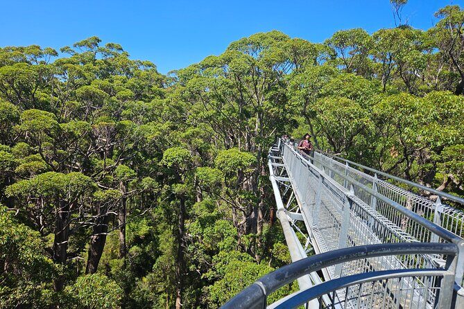 2 Day Tour Busselton Jetty, Ngilgi Cave to Valley of the Giants - Day 2: Towering Trees and Dramatic Coastlines