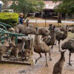 2 Day Tour to Busselton Jetty, Margaret River and South West - What’s Included and What’s Not
