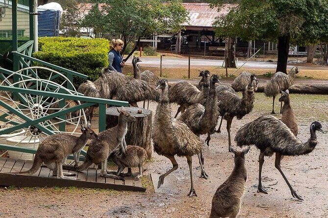 2 Day Tour to Busselton Jetty, Margaret River and South West - What’s Included and What’s Not