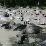 2-Day Trek to Ban Muang Pam: Real Thailand in Every Step - What’s Included and What to Consider