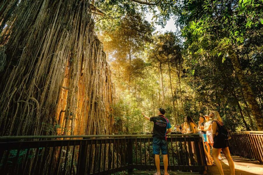 2-Day Waterfall and Daintree Tour - Exploring Queensland’s Natural Wonders