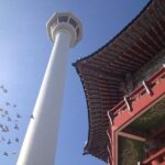 2-DAYS Busan Customized and Included Night tour - The Itinerary Breakdown: What You Might Expect