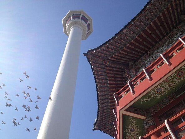2-DAYS Busan Customized and Included Night tour - The Itinerary Breakdown: What You Might Expect