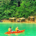 2 Days Cheow Lan Lake Explorations & Bamboo Rafting - What’s Included and What It Means for You